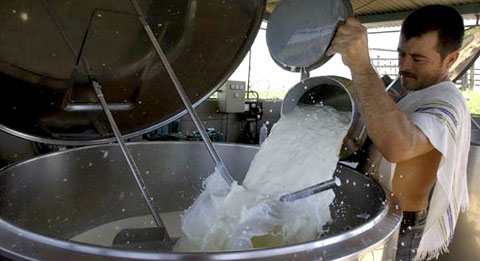 LA PRODUCCION DE LA LECHE EN EL ECUADOR : INTRODUCCION