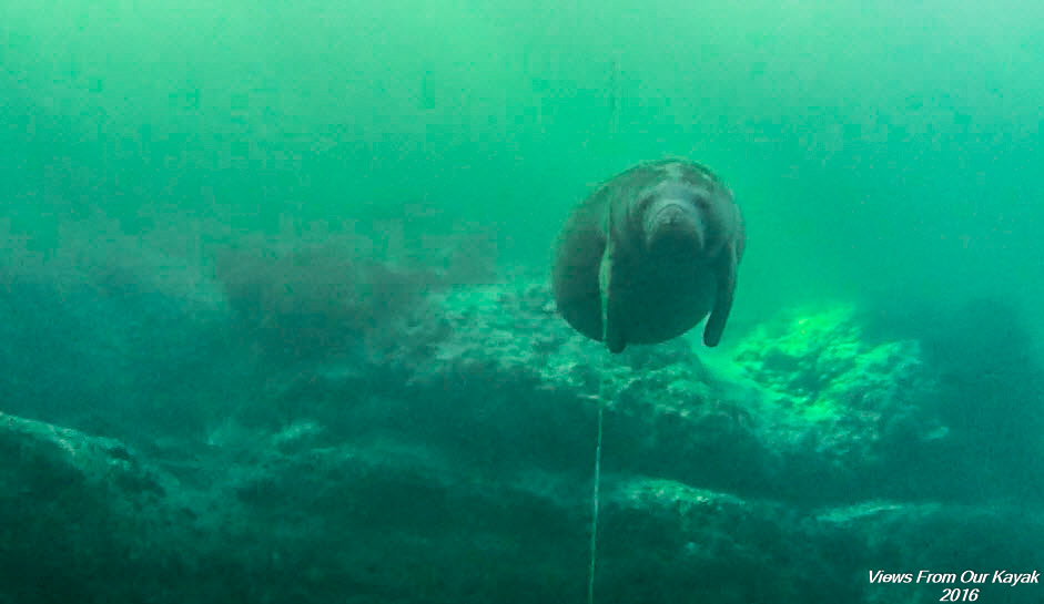 Views From Our Kayak: Hospital Hole 2