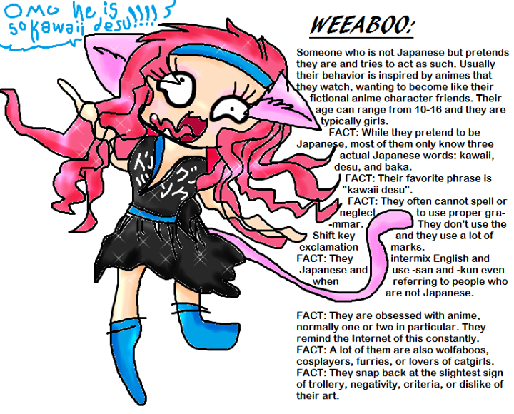 Perbedaan Antara Otaku dan WEEABOO | ALL Information