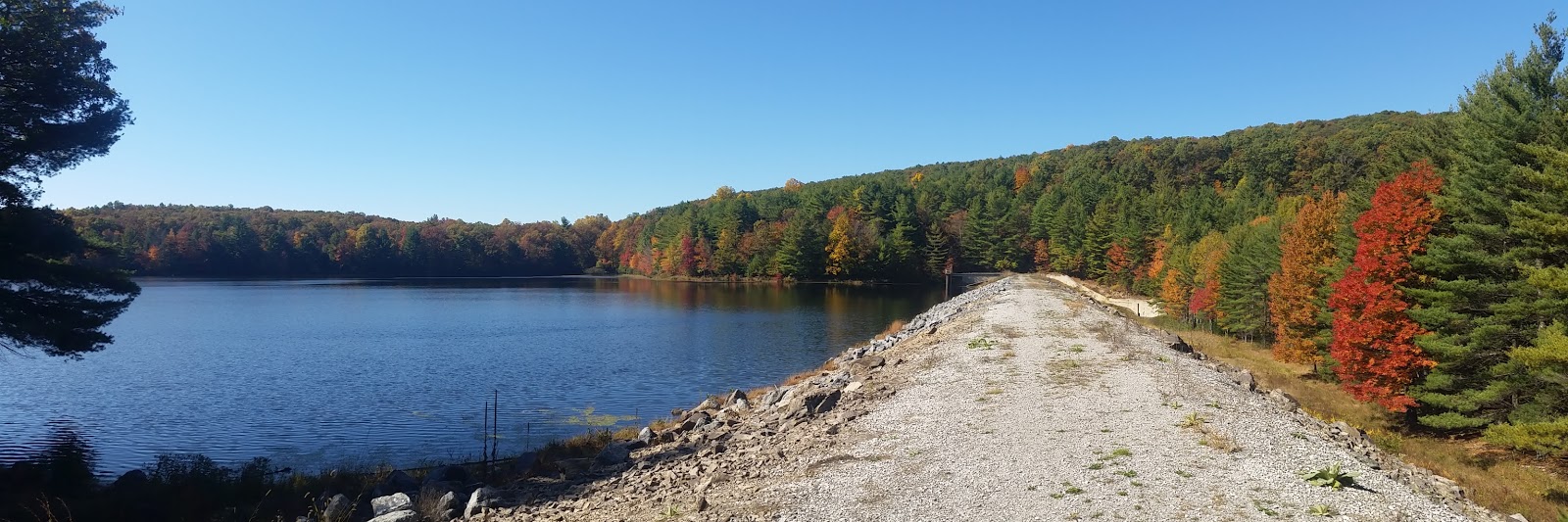 MICHAUX LESS TRAVELED -- October 12, 2015