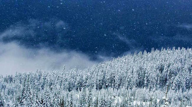 Snowy Wonderlands From Around The World Will Fight The Winter Blahs ...