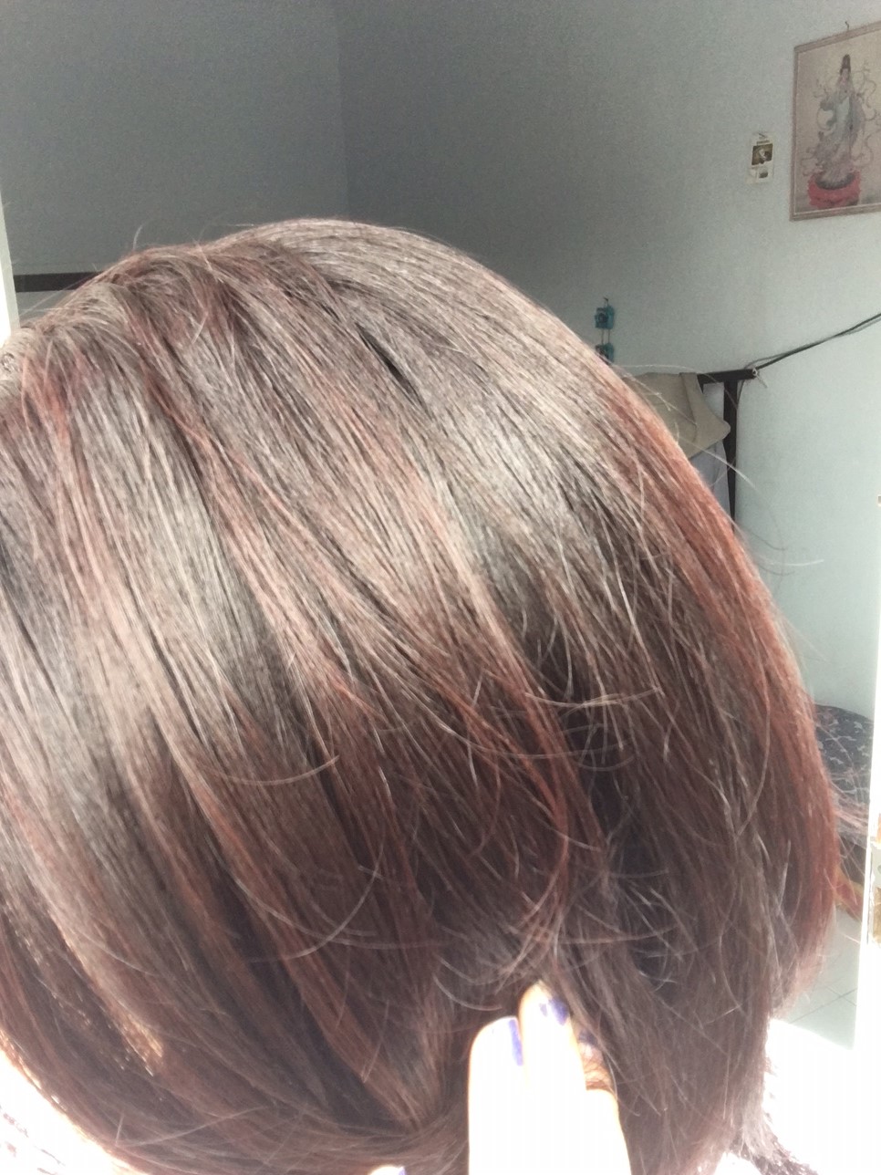 Review Nyu Creme Hair Colour - Burgundy 4.16: Review Nyu Creme Hair ...