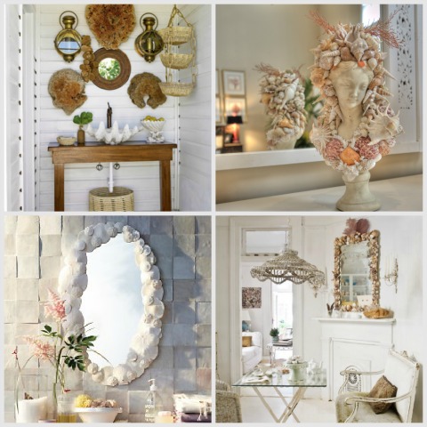 Unique Seashell Decor