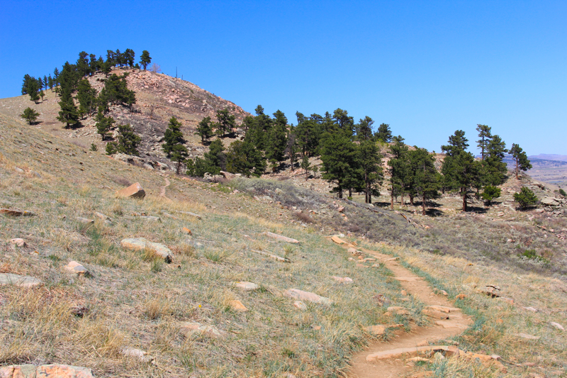 Colorado Lifestyle: Hogback