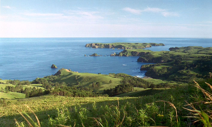 RM0F/P, RV1CC/0 y RA/OG2K, AS-025