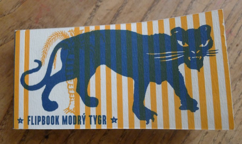 Dětská kniha: Modrý tygr