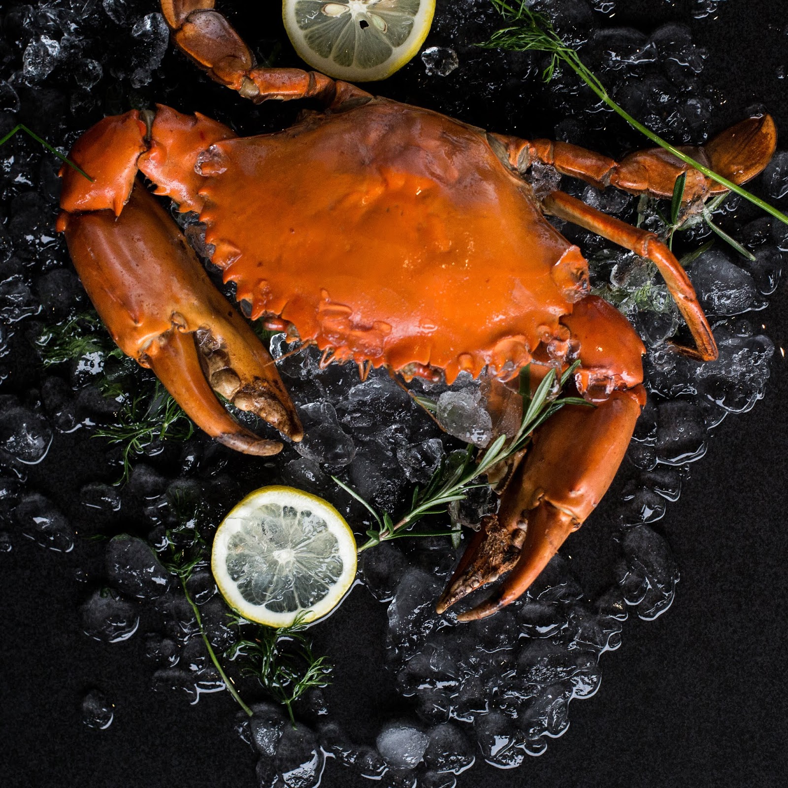 Ombak Kitchen Shell Out Sedap Di Shah Alam - BLOG BUDAK PACAK