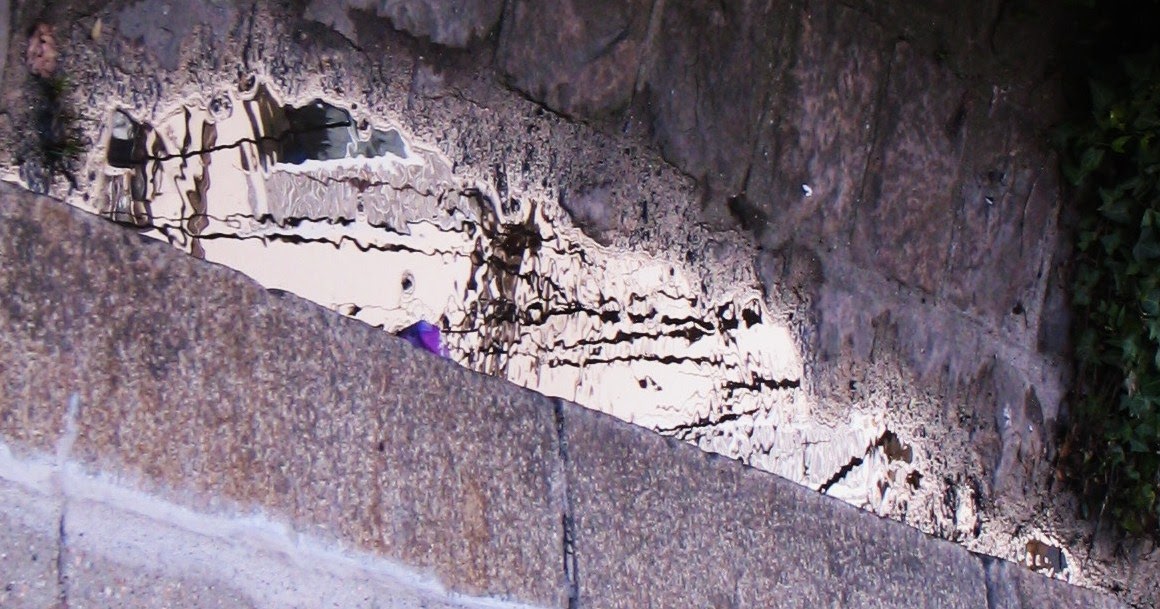 LARENCORE: PUDDLE IN THE GUTTER, photos by Patricia LARANCO.