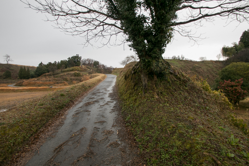 Kikuchi Castle -Supply base of ancient dynasty- | Ken's Storage ...