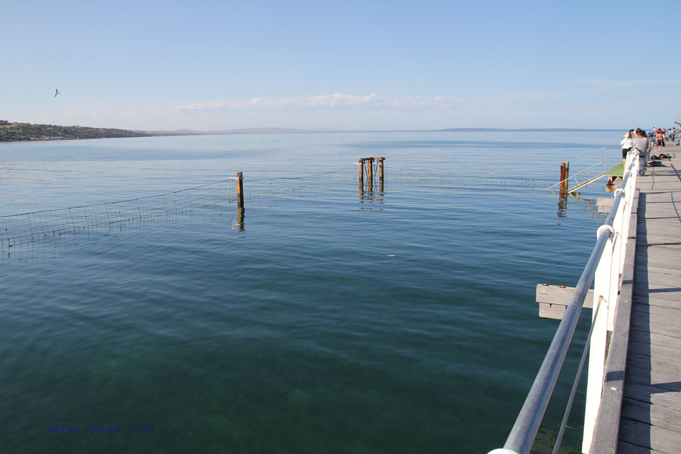Discovering The Eyre Peninsula: The Swimming Cage - Port Lincoln Jetty
