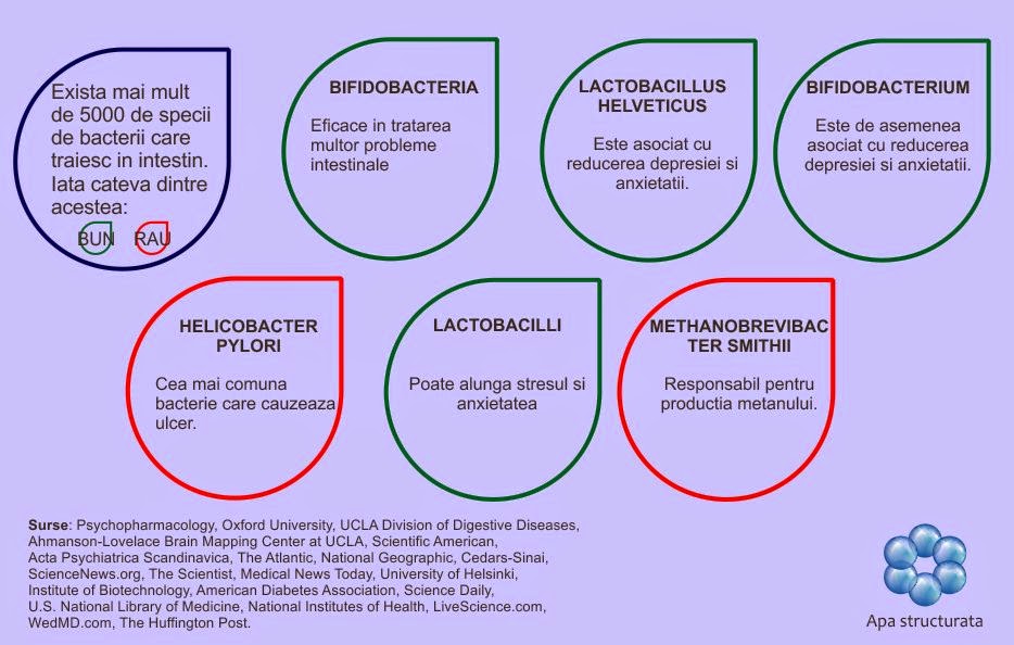 Apa structurata: Flora intestinala si efectele asupra creierului