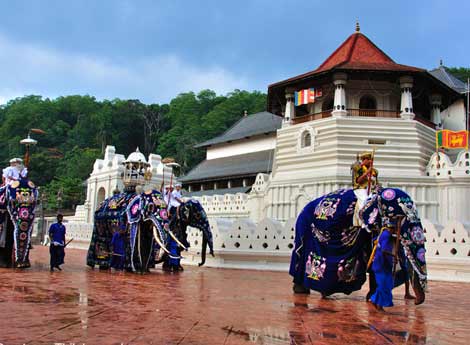 Kandy City Guide & Travel Guide