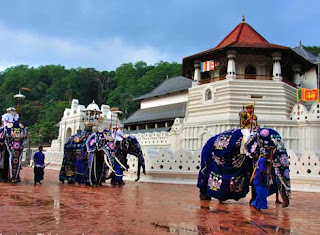 Kandy City Guide & Travel Guide