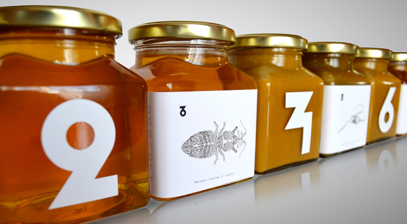 Pcelica – Education Through Design – Packaging Of The World