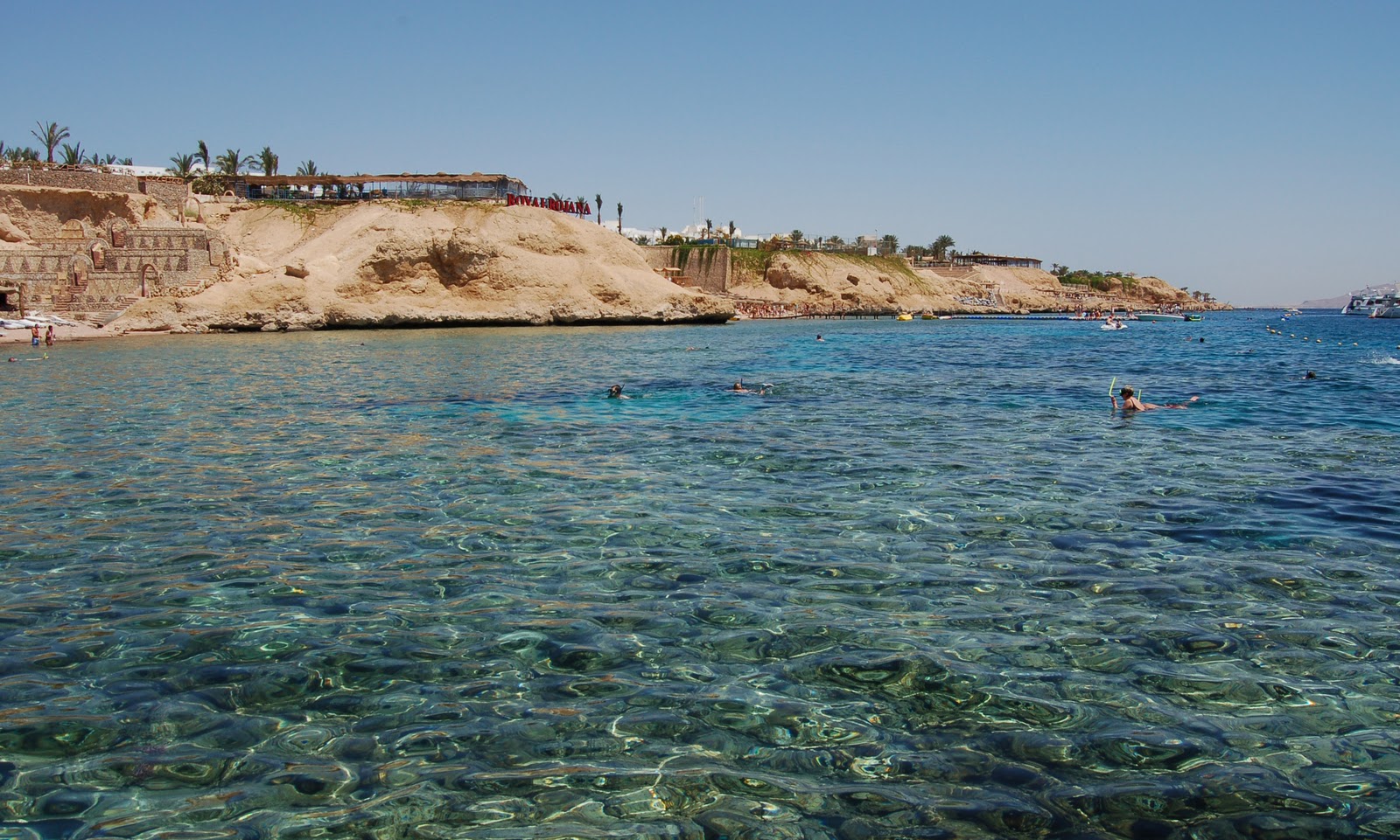 z aparatem przez świat: Morskie opowieści - Morze Czerwone