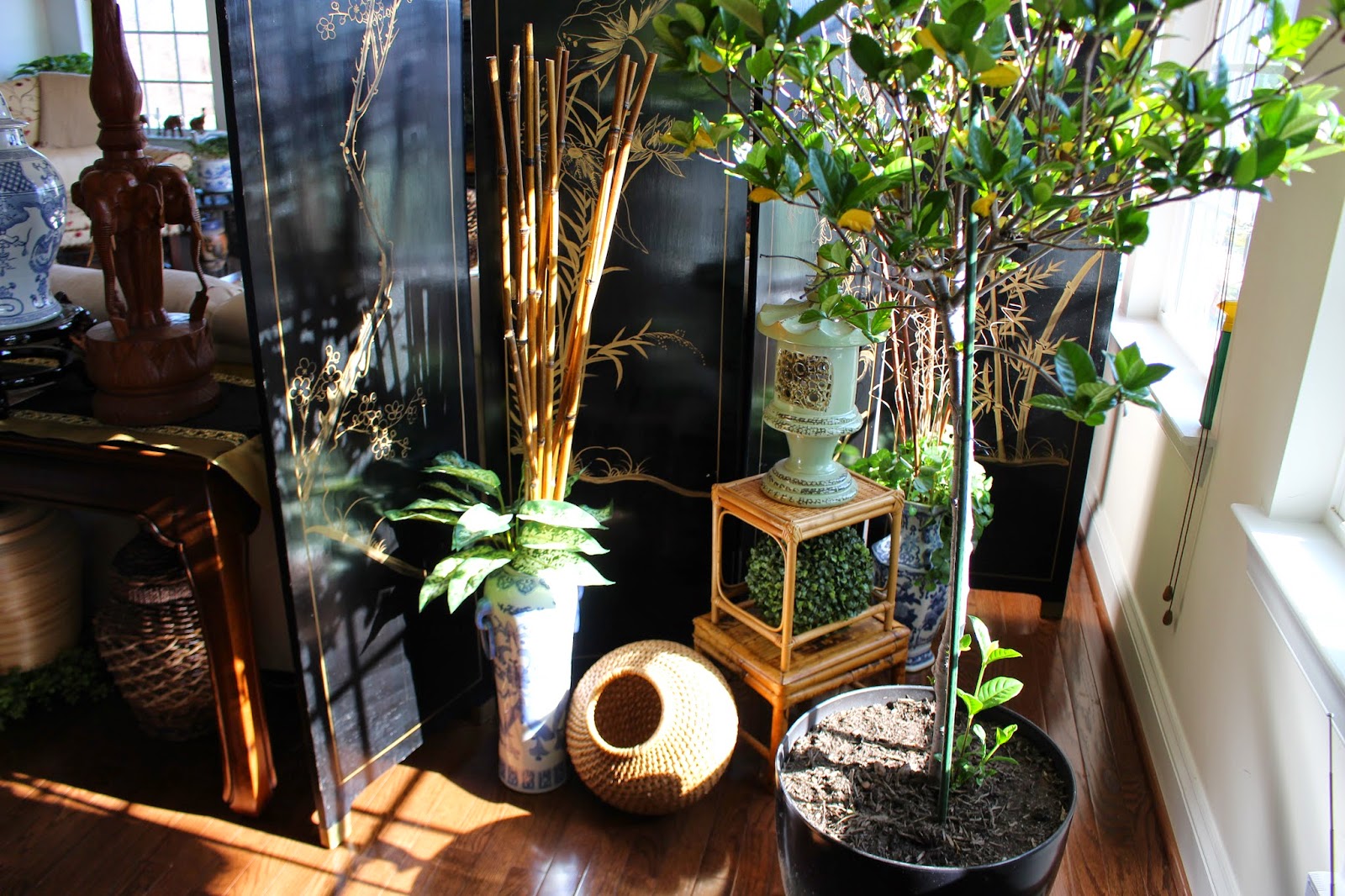 Designs by Pinky: ~~~Living Room Vignettes~~~