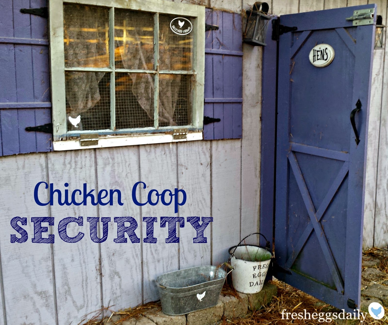 Chicken Coop Security Features - Fresh Eggs Daily® with Lisa Steele