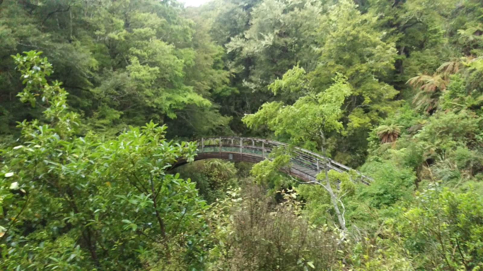 Tramping: Ruahine Forest Park Oroua Catchment