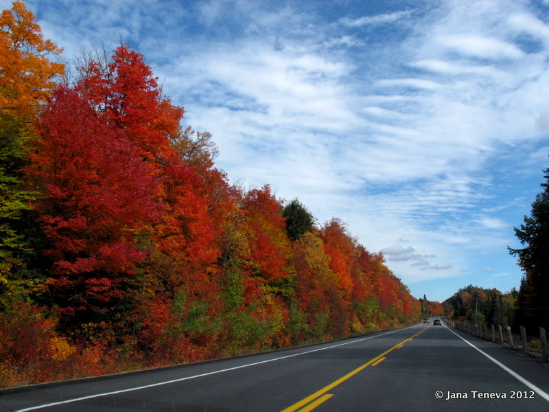 Jana around the world: Peak of Canadian autumn colours in Ontario