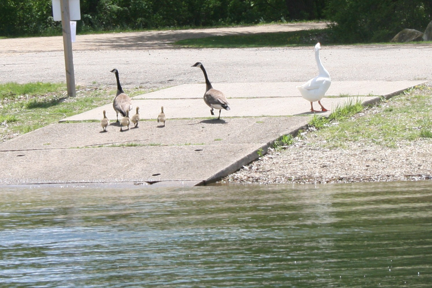 Ron Hover's Updates: May 2013