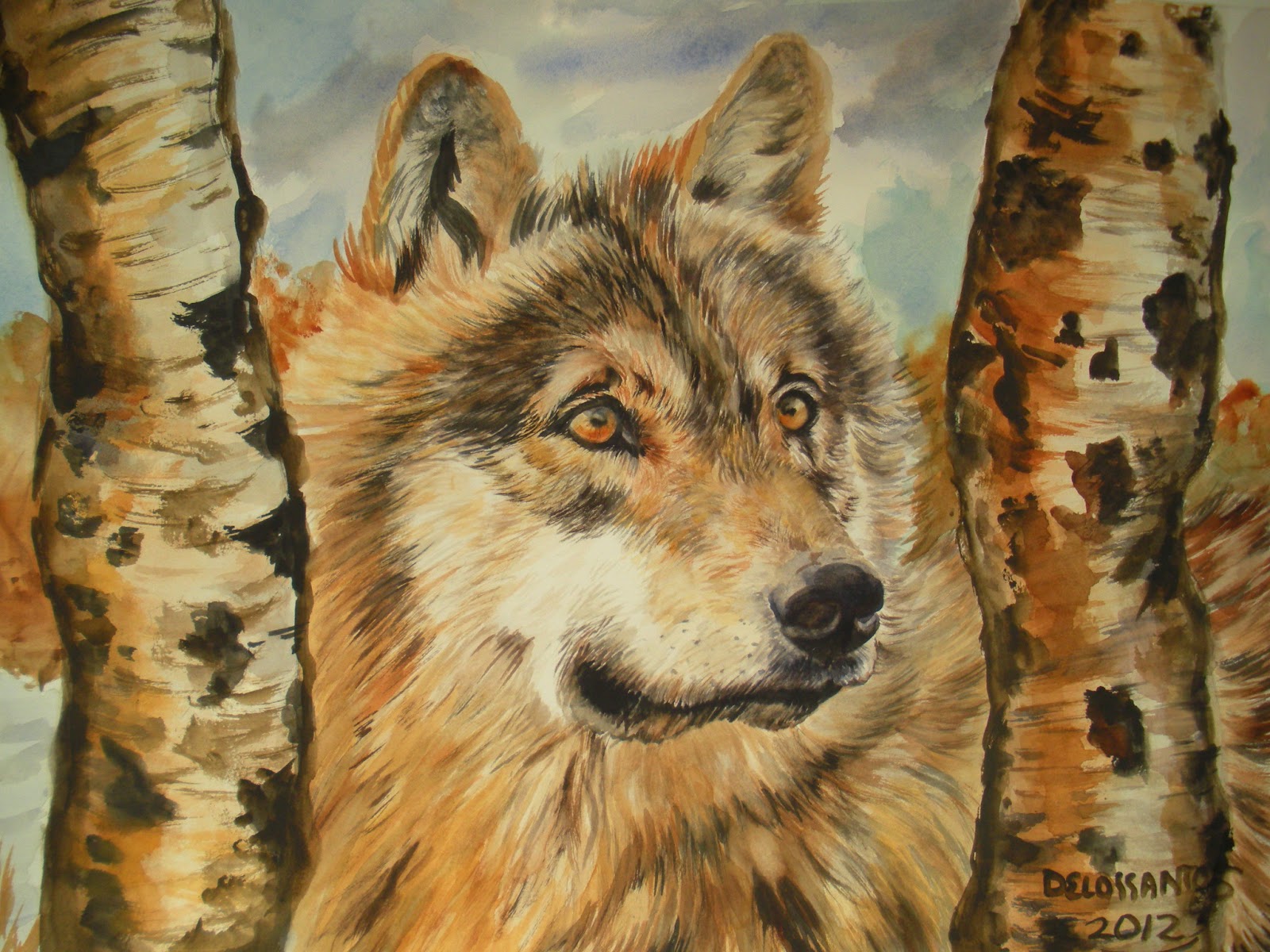 vanishingwildlifeandmore