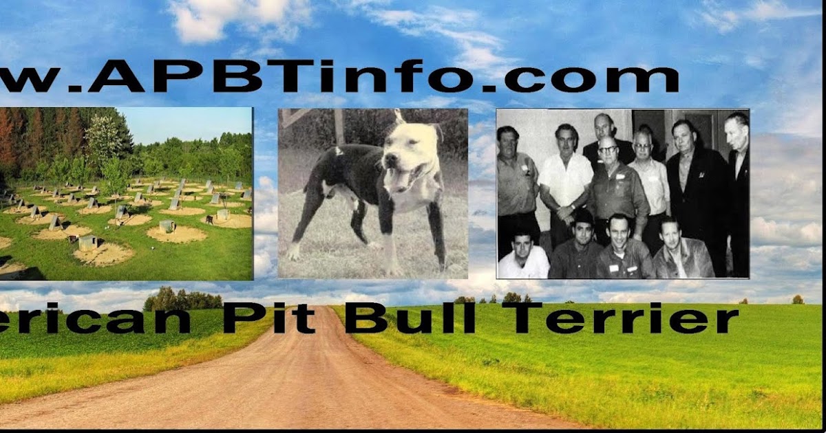 Bienvenido a APBT INFO