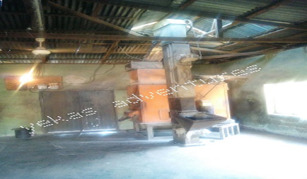 YEKA'S ADVENTURES: RICE FARMING IN ABAKALIKI