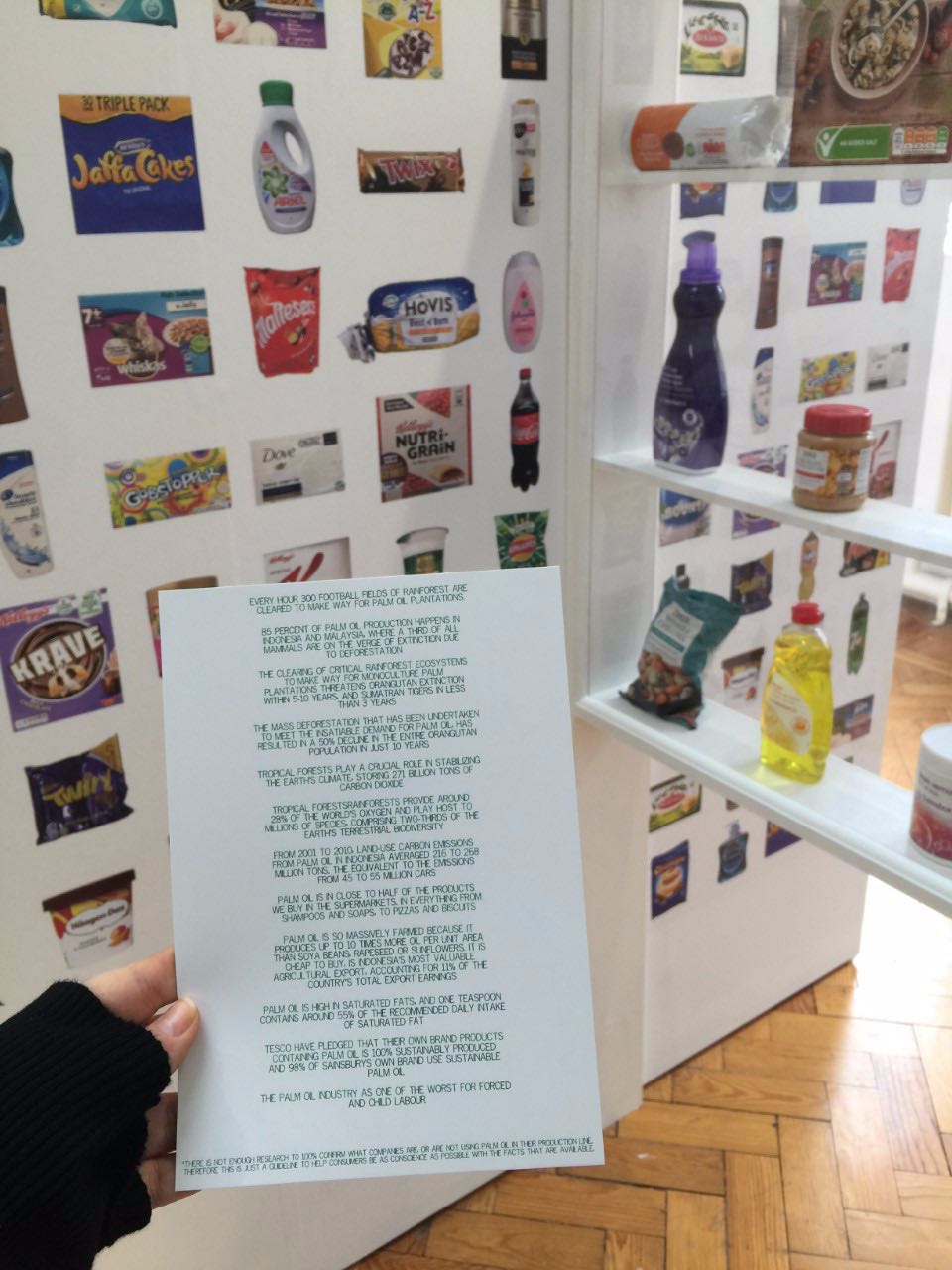 Polly Bates, An Artist's Journal