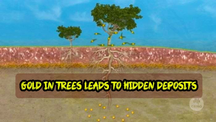 Garden and Farms: Gold in trees leads to hidden deposits