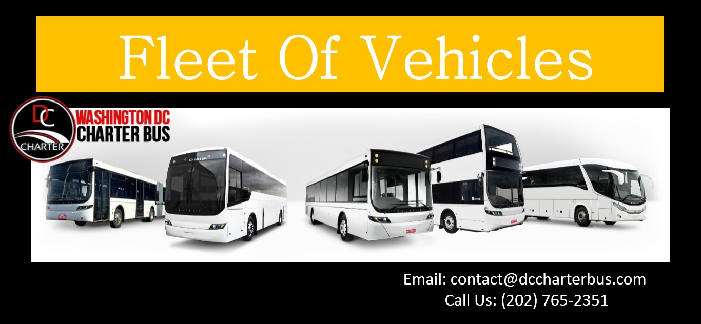 Sightseeing the Easy Way with a Charter Bus in DC