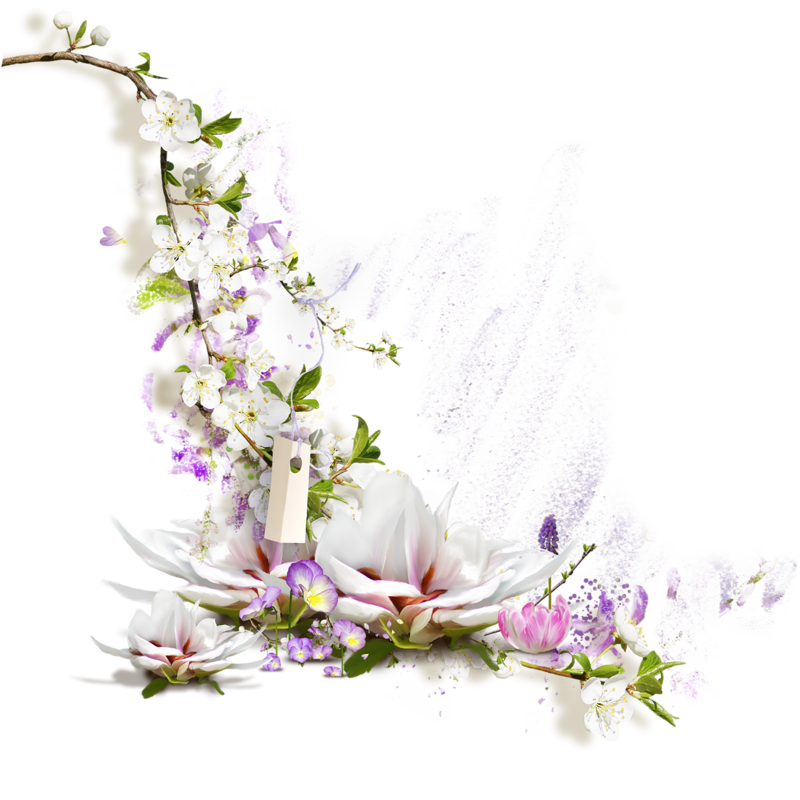 ForgetMeNot: Cluster spring frames