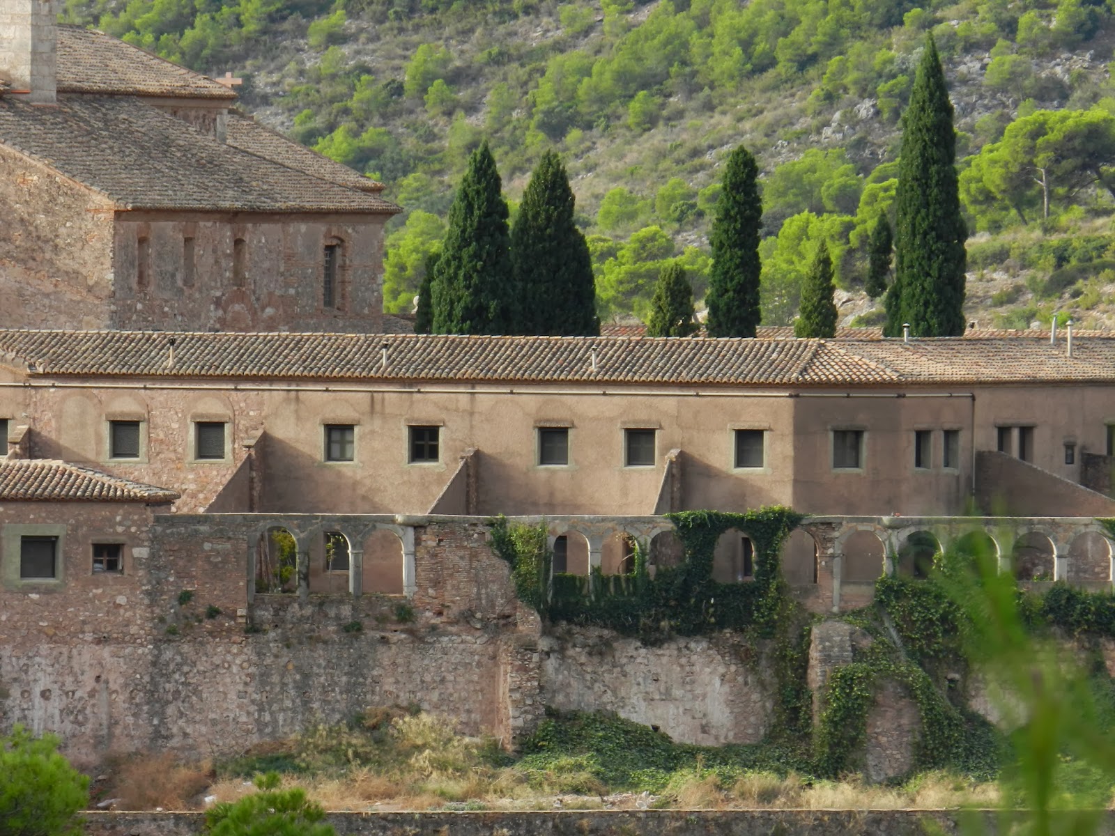 Senderismo y botánica: Cartuja de Portacoeli - Coveta de la virgen Inés ...