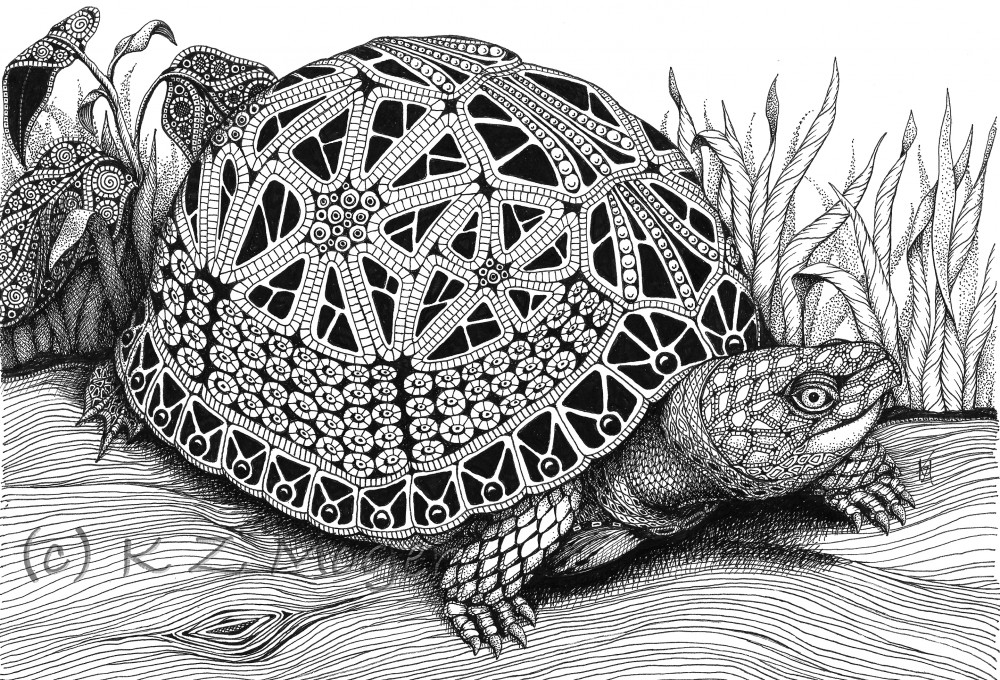 Design Stack: A Blog about Art, Design and Architecture: Animal ...