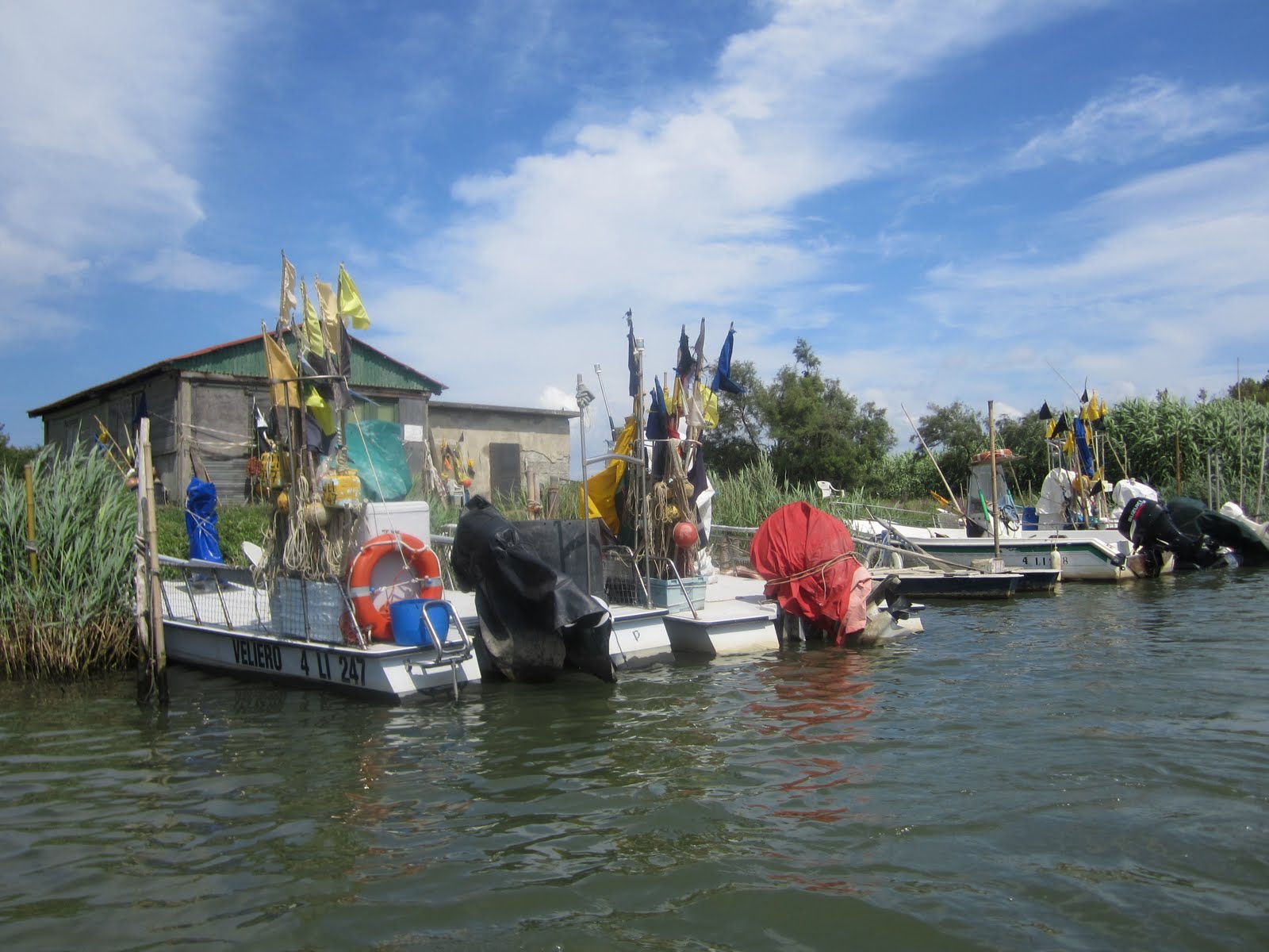 [GlobOblò]: :: Bocca di Serchio (Pisa)