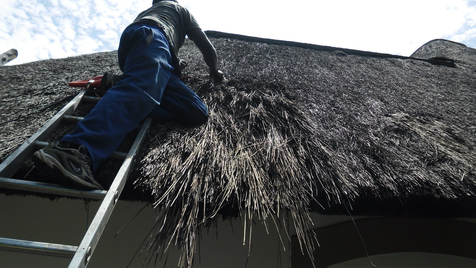 5 Common Problems with Thatched Roofs