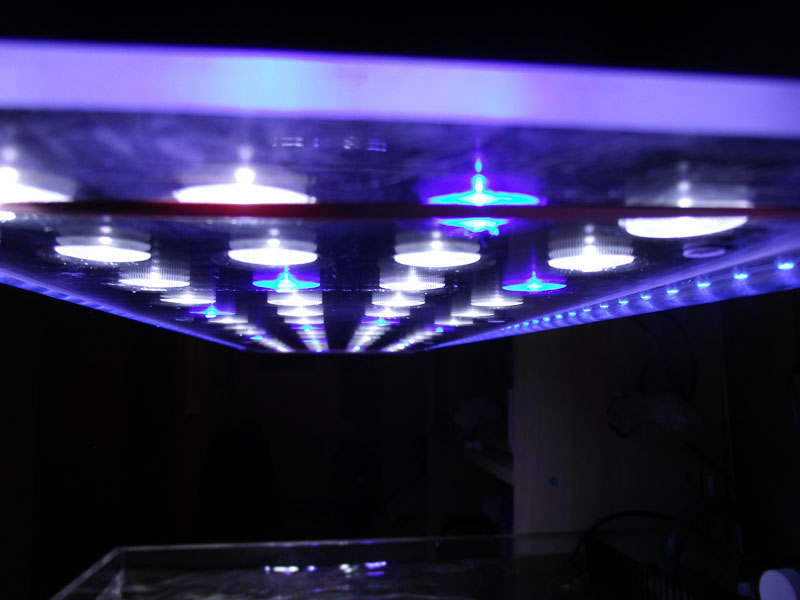 DIY LED Aquarium Lighting: Reef Capable LED Lighting System from Marineland