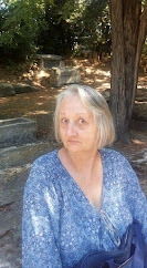 Simply Sue's Simple Diary