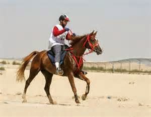 Endurance Horse Racing: What Is Endurance Horse Racing?