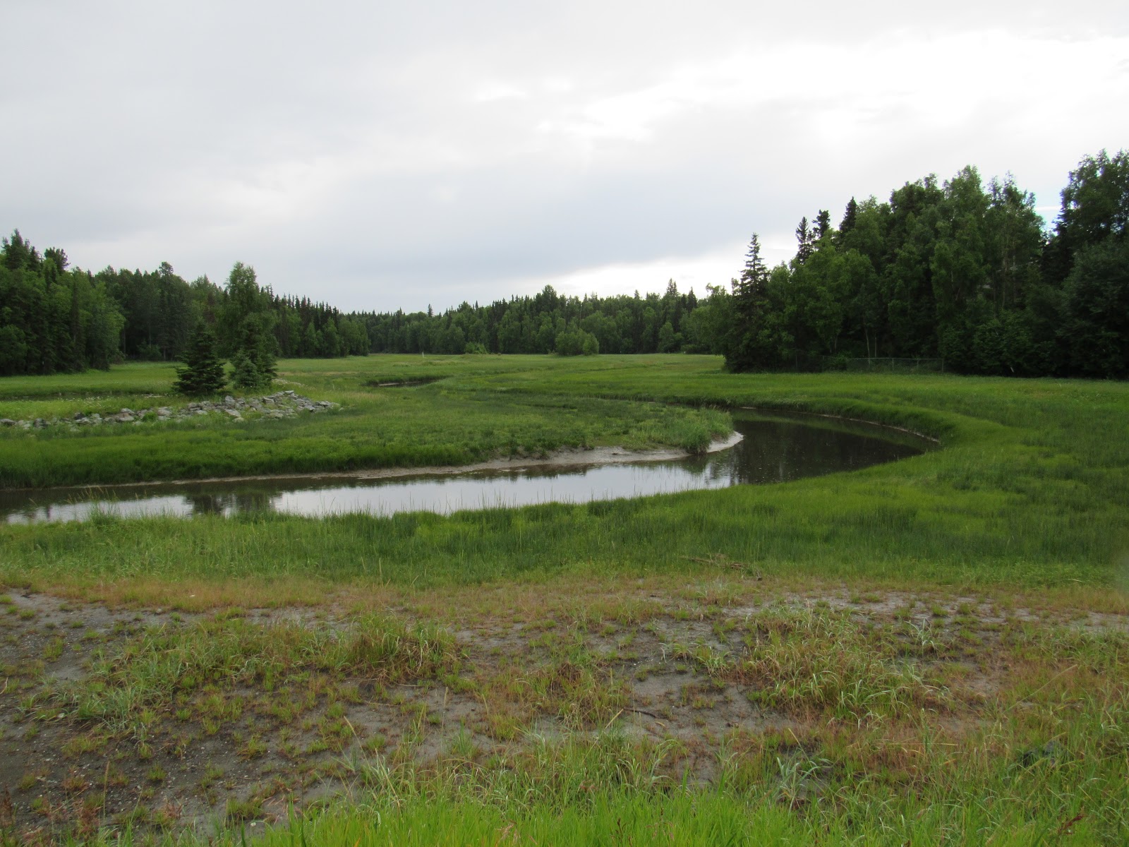 Travel the Path Less Trodden