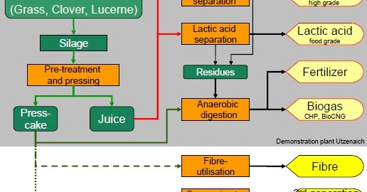 Biorefinery models - Green biorefinery
