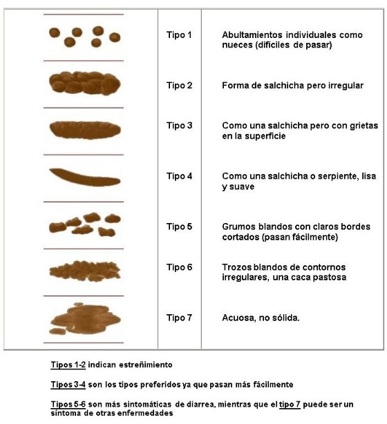 The philosopher: Los colores y formas de las heces y su significado.