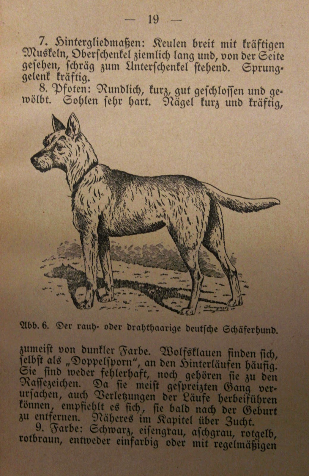 Teräsvillan pumit: 2016