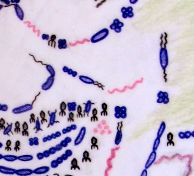 All Creatures Great AND Small: Preaching Microbial Centrism ...