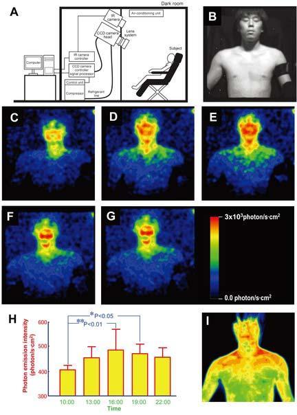 La luce della vita: i biofotoni - Elapsus