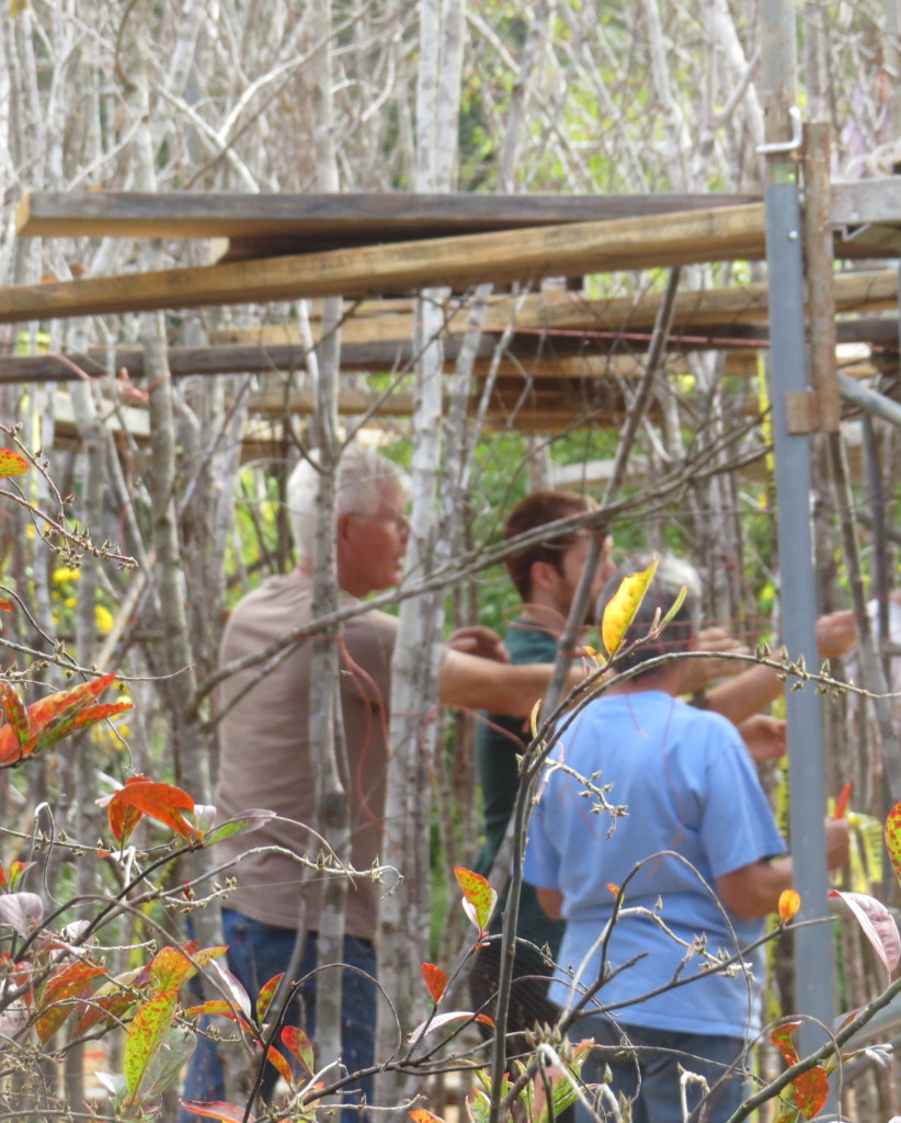 Every Day Is Special: December 2 – World Premiere of Bending Sticks