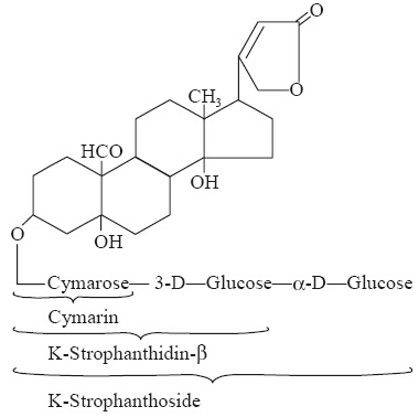 Strophanthus-Strophanthus hispidus De*, or of Strophanthus kombe Oliver ...