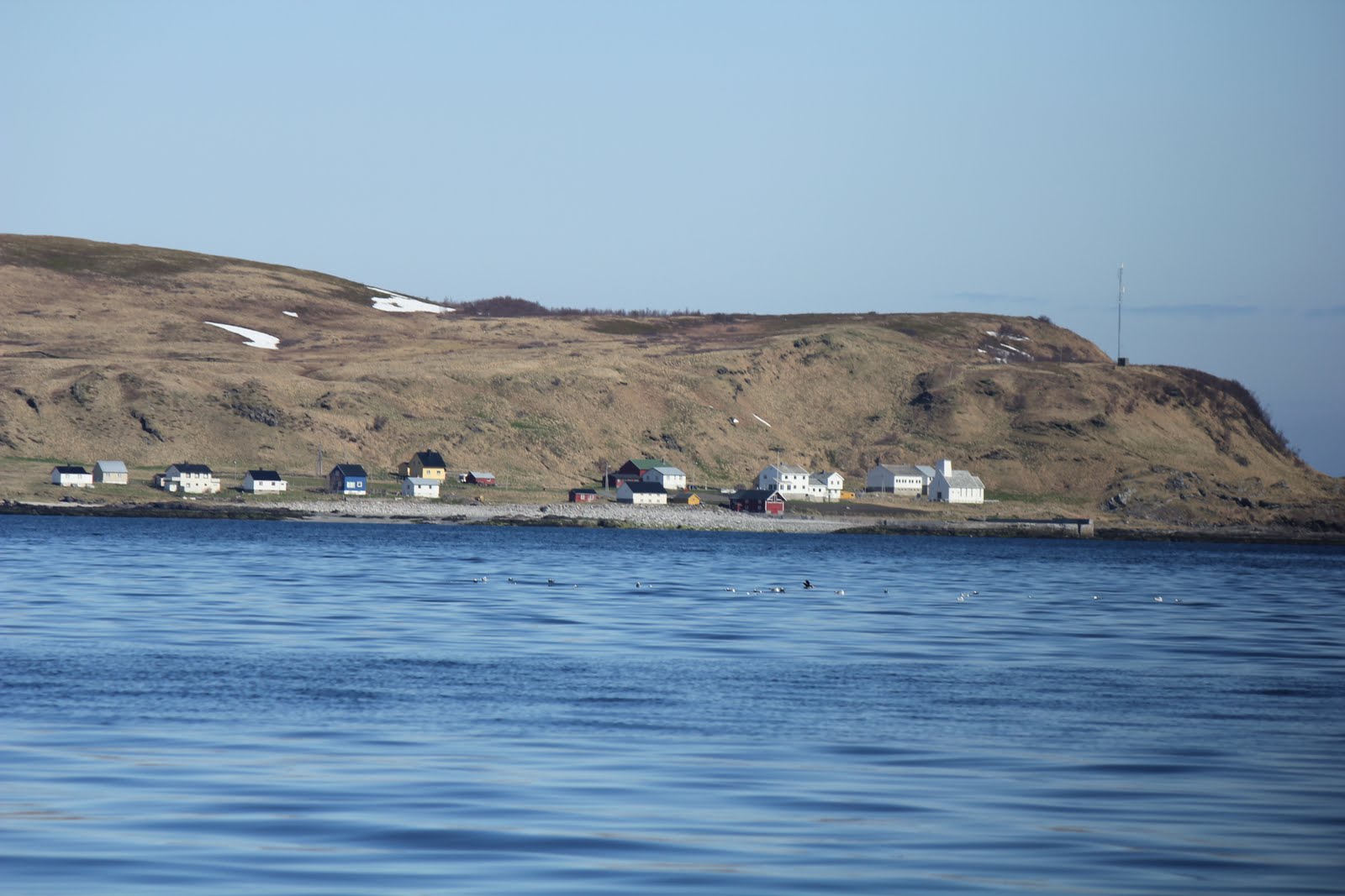 Wilmapaatur: Loppa - Hammerfest