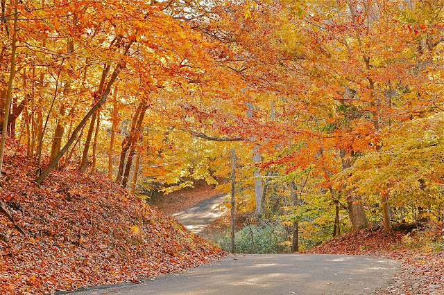 HandMade NanMcKee: Fall Colors