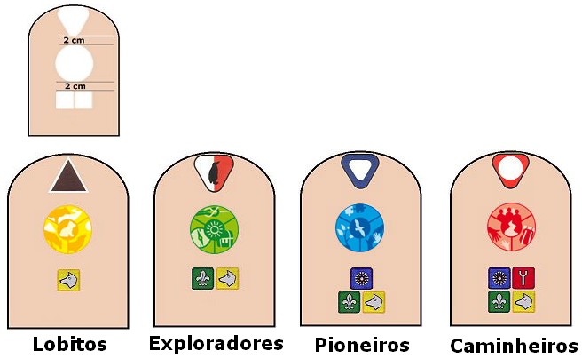 Agrupamento 1139 - Golegã: Colocação de insígnias de progresso