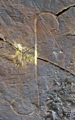 Mallorca es así también: 27/1/13 - 3/2/13